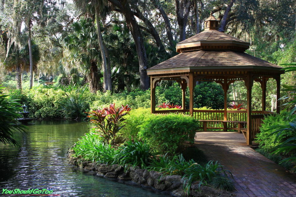 Washington Oaks Gardens Florida State Park MAGNIFICENT!