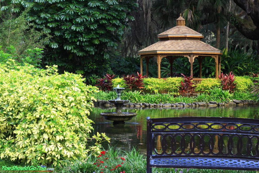 Washington Oaks Gardens Florida State Park MAGNIFICENT!