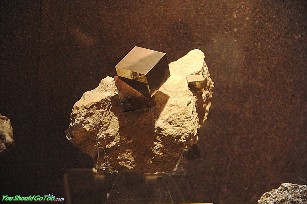 The Dinosaur Store & Museum in Cocoa Beach, Florida