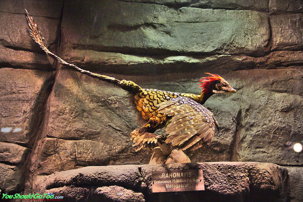 The Dinosaur Store & Museum in Cocoa Beach, Florida